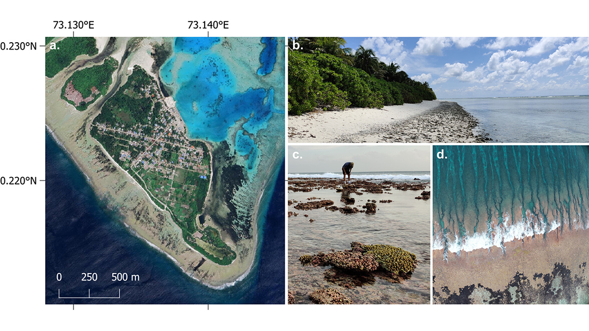 Featured | Publications